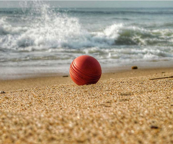 PETA India Ask The ICC For Support – Sports Ball Shop