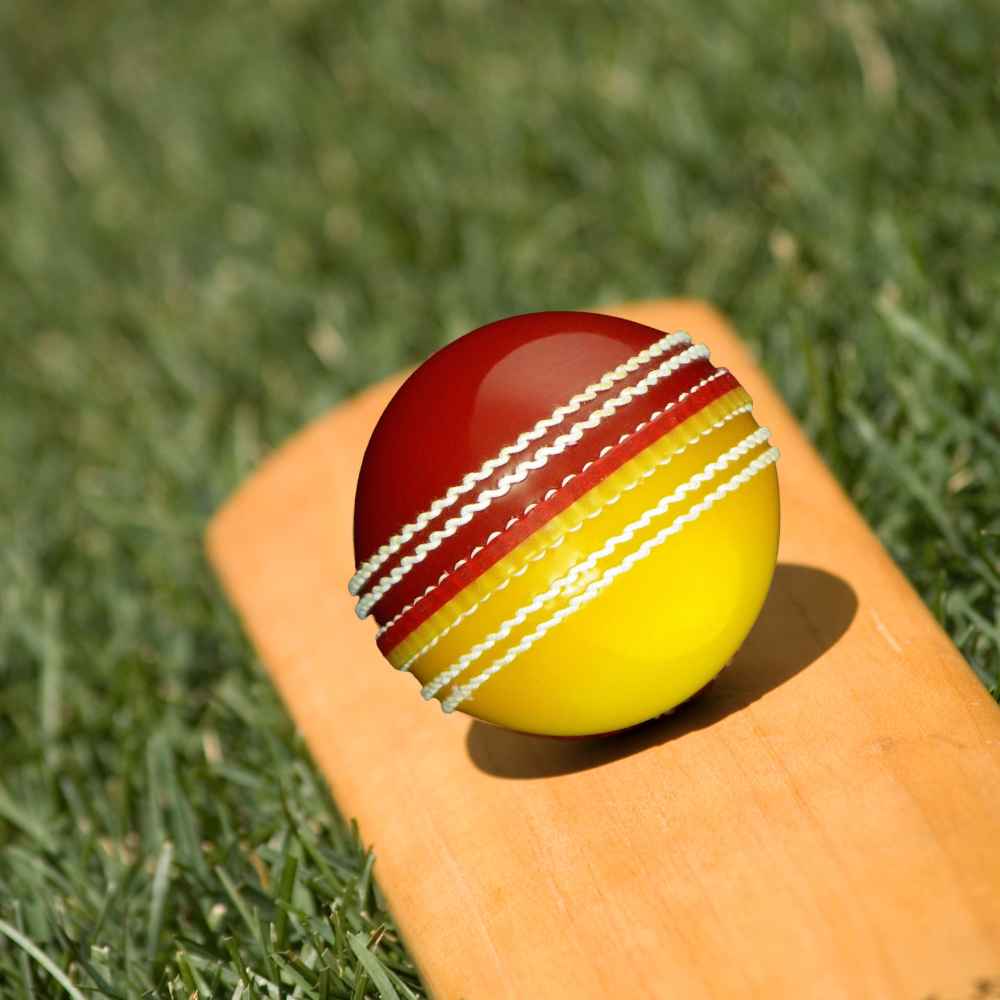 Training Cricket Balls – Sports Ball Shop